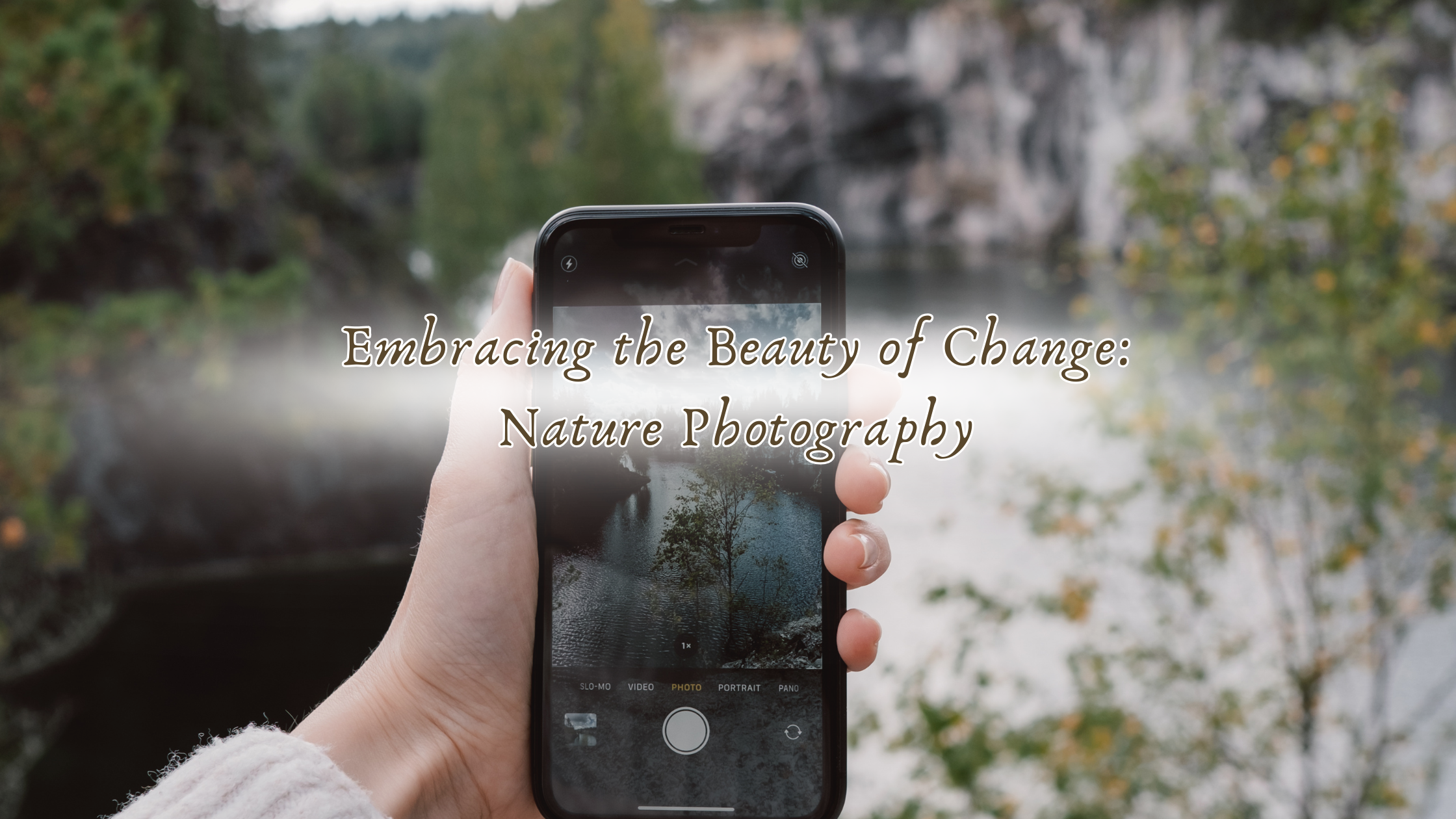 Embracing the Beauty of Change: Nature Photography – Buddha Power Store