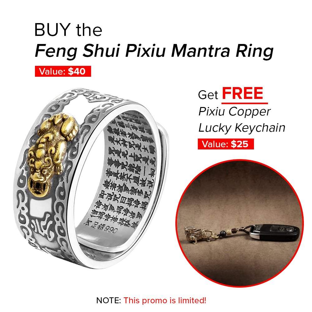 Buy the Feng Shui Pixiu Ring and Get FREE Pixiu Copper Lucky Keychain ...