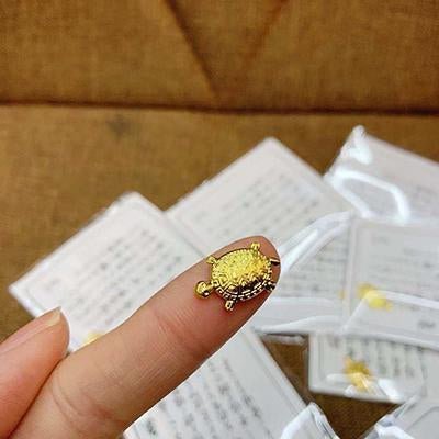 Feng Shui Money Turtle Wealth Ornament - Buddha Power Store